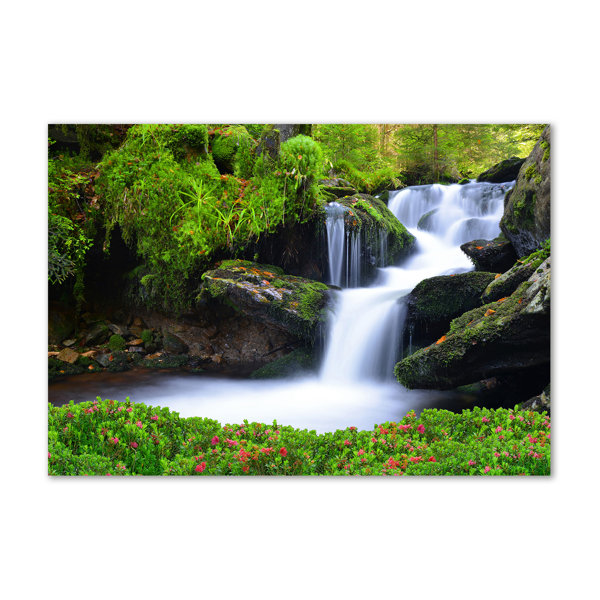 Union Rustic Wasserfall im Wald - Kunstdrucke auf Leinwand | Wayfair.de